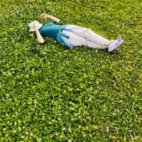 SEEING GREEN – Ecology – Biodiversity – Climate Change